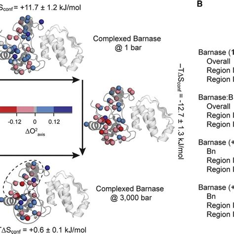 Fast Internal Motion In Free Barnase And Barnase In The Barnase Barstar