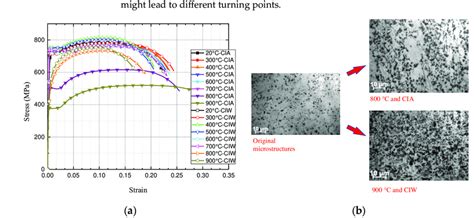 Results Of The Material Test A Strain Stress Curve B