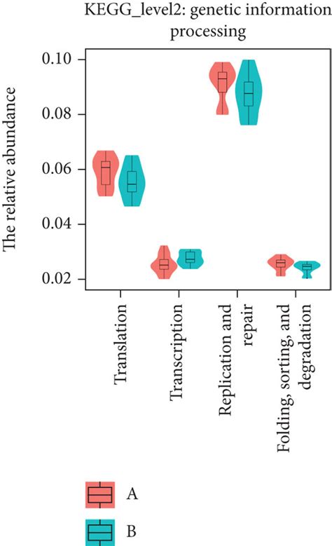 PICRUSt Analysis Of KEGG Pathways Functional Predictions Of The Gut