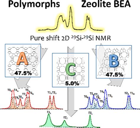Direct Identification Of Zeolite Beta Polymorphs By Solid State Si Nuclear Magnetic Resonance
