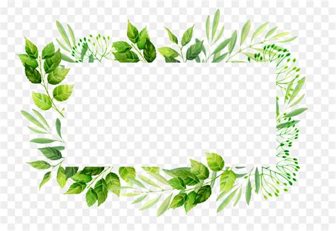 Frame Daun Png 56 Koleksi Gambar