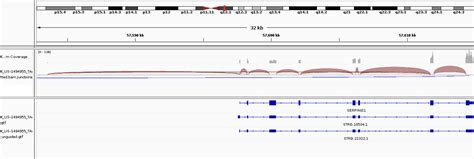 Can Stringtie Add Utr To Guided Transcripts · Issue 333 · Gpertea