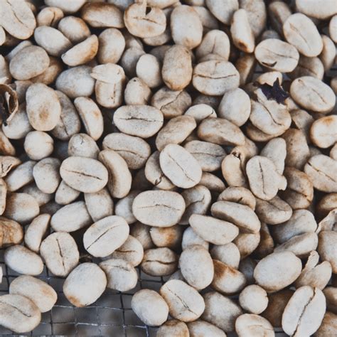 Costa Rican Raw Green Beans Coffee Origins