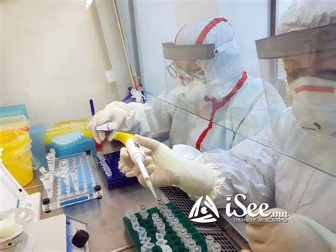 Увс аймагт түргэвчилсэн шинжилгээний хариу эерэг гарсан иргэний Pcr ийн хариу өнөөдөр орой гарна
