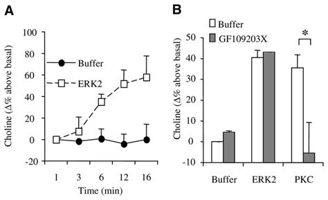 In Vitro Stimulation Of Pld Activity By Recombinant Erk2 And Pkc