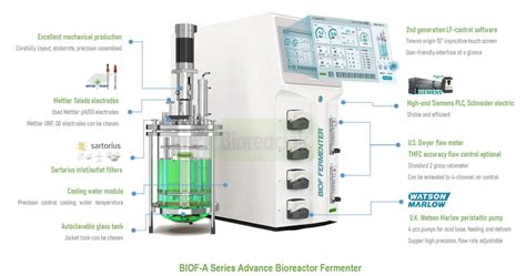 ถังหมักปฏิกรณ์ชีวภาพ Fermenter