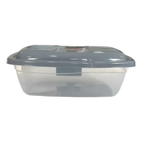 Tupper Rectangular Mediano De Plástico Ra901 Rainha — Champagne