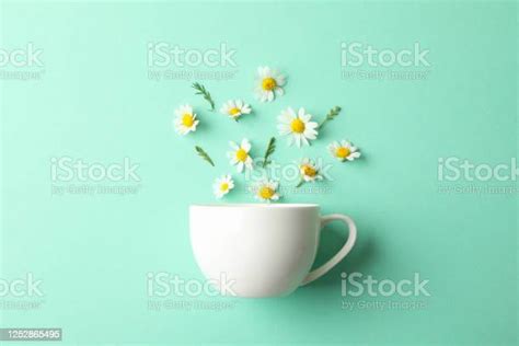 민트 배경에 컵과 Chamomiles 카모마일 차 0명에 대한 스톡 사진 및 기타 이미지 0명 구도 꽃 나무 Istock