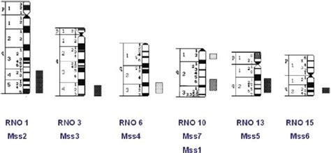 4 Seven Gene Loci Associated With Susceptibilityresistance To