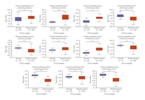 Mutation Status Of Ncoa4 In Tcga Tumors A The Alteration Frequency
