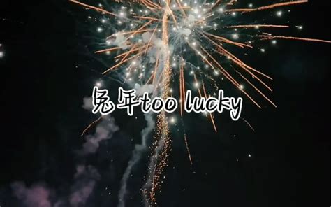 兔年too Lucky 树一sy 树一sy 哔哩哔哩视频