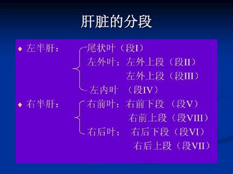 1腹部ct 断层解剖结构 肝、胰腺 Word文档在线阅读与下载 无忧文档