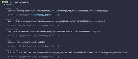 Permissions Denied When Using Deploy Command · Issue 4979 · Pnpmpnpm