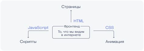 Какой язык программирования выбрать новичку список простых и сложных