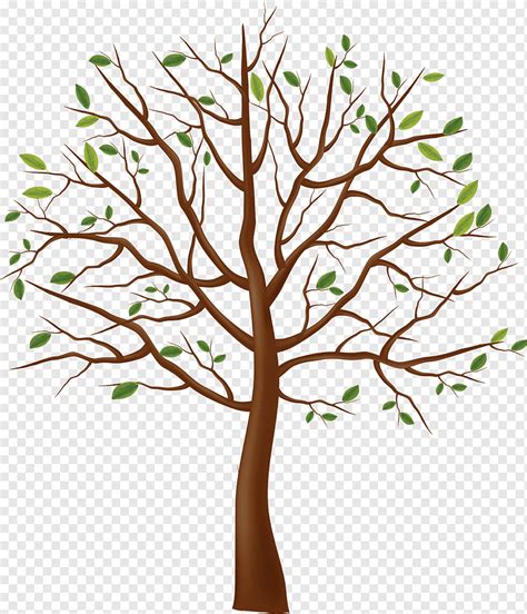 Dibujo De Arbol Arbol Hoja Rama Tallo De La Planta Png PNGWing