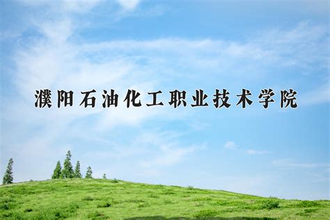 2024年濮阳石油化工职业技术学院在陕西计划招生人数（附学费及专业录取分