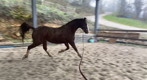 Ionesco And Co Jdb D Une équipe D Enfer