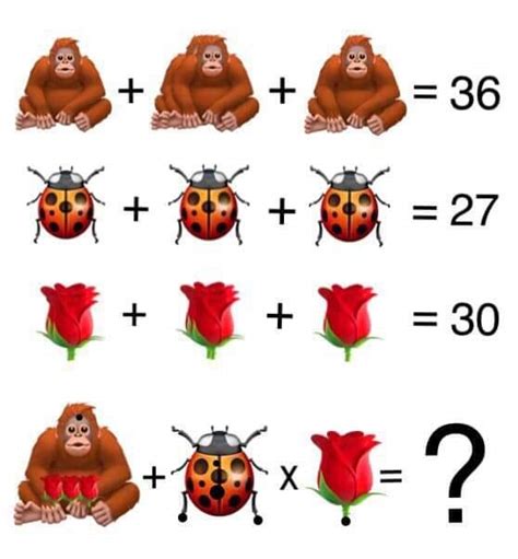 Ape Bug Rose Maths Puzzle With Answer Forward Junction