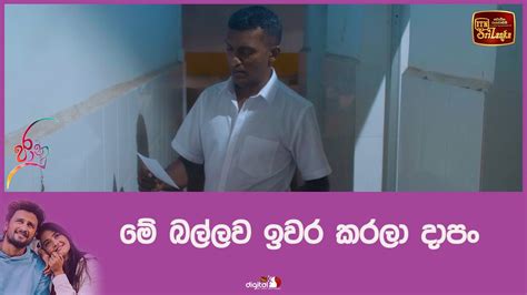 මේ බල්ලව ඉවර කරලා දාපං Youtube