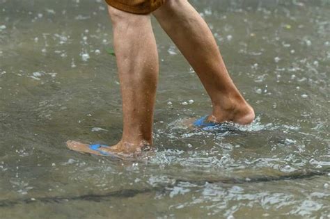 2 Todas Sa Leptospirosis Sa Maynila Pilipino Star Ngayon