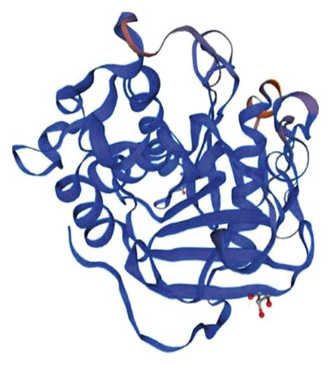 Lipase Protein Of A Malassezia Furfur And B Malassezia Restricta