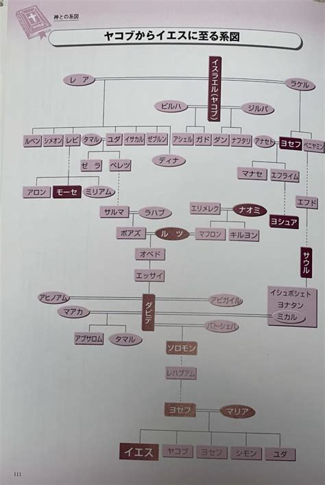 アダムとエバからイエス様までの家系図 キリスト教福音宣教会｜大阪のおばちゃんブログ