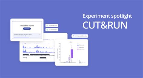 Pluto Bio • Cutandrun 101 For Biologists Pluto Bio