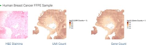 M20 Spatial M20 Genomics
