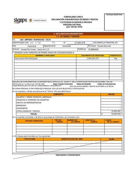 Formato Declaración Bienes Y Rentas Sigep Pdf Economias
