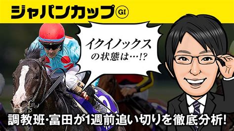 【ジャパンカップ2023予想】マイルcsもナミュール5番人気1着を推奨！調教班・富田が有力馬5頭の1週前追い切りを徹底分析！ 競馬