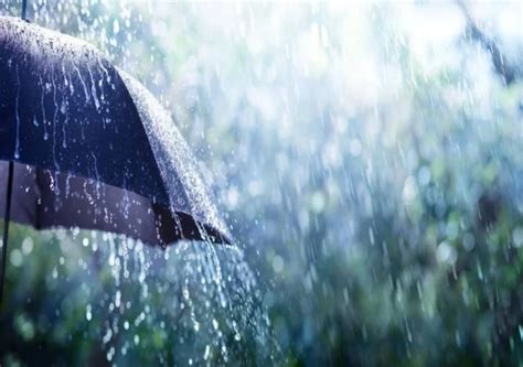 Formação De Ciclone Extratropical Provoca Chuva Volumosa E Temporais