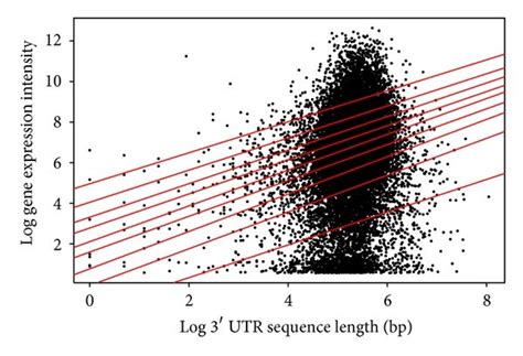 quantile regression plot for arabidopsis thaliana with quantiles range