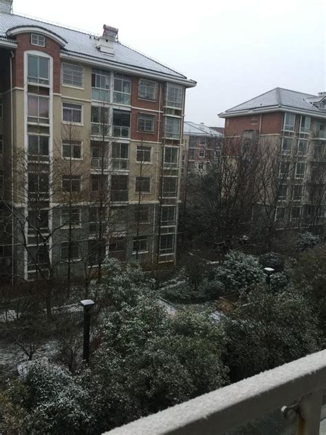 忘年雪原創詩 每日頭條