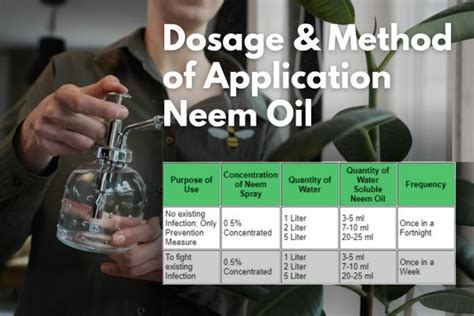 How Much Neem Oil Spray For Plants Dosage Tips Neem Oil Neem