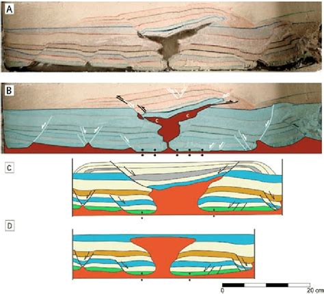 Uninterpreted A And Interpreted B Cross Section In Model II Showing