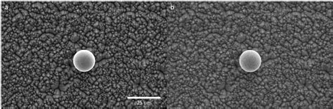 Index Of Images SEM Module