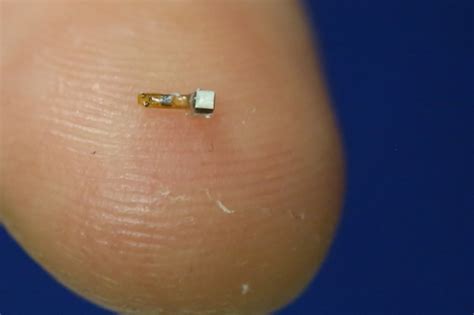 Facts About Neural Dust Facts Net