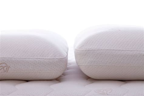 Oxygen Pillow By European Sleep Works Shepherds Dream