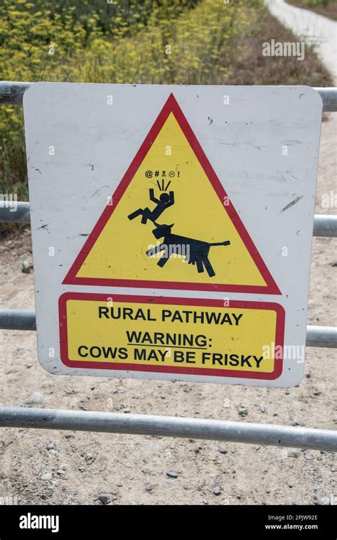 Rural Pathway Sign Warning About Frisky Cows Seen In New Zealand Stock