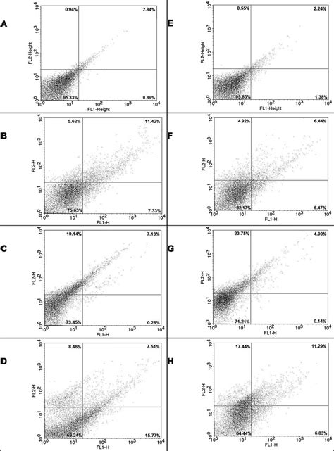 Flow Cytometry Charts Depicting Propidium Iodide Staining Of The