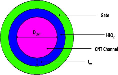 Cross Sectional View Of Cylindrical Gaa Cntfet Download Scientific Diagram