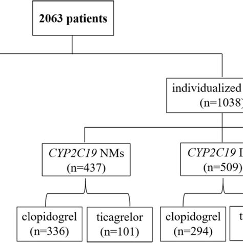 The P2y12 Inhibitor Treatment Protocols Nms Normal Metabolizer Ims