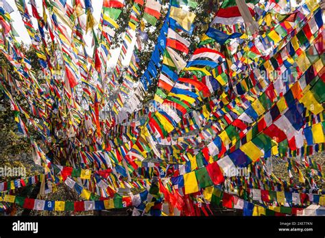 Frame Covered In Colorful Tibetan Prayer Flags Buddhist Prayer Flags
