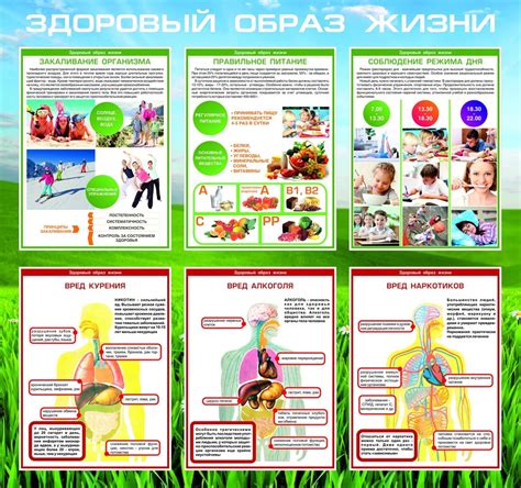 Стенд Здоровый образ жизни размер 800 х 750 пластик 3 мм - Стенды ...