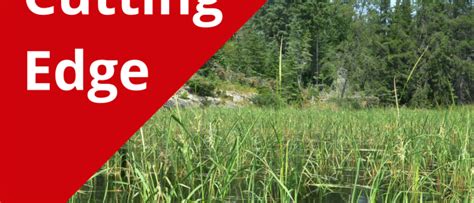 Food Grade Grains Crops And Soils