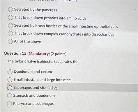 Solved Secreted By The PancreasThat Break Down Proteins Into Chegg