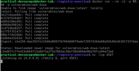 Lesson 5 Hacking Containers Like A Boss Part 2 Practical Devsecops