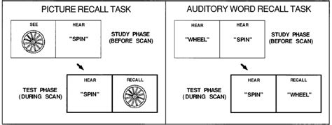 Diagrams Illustrate The Two Different Episodic Memory Retrieval Tasks