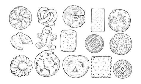 Biscuit Shape Handdrawn Illustration Graphic By Graphicnika · Creative Fabrica