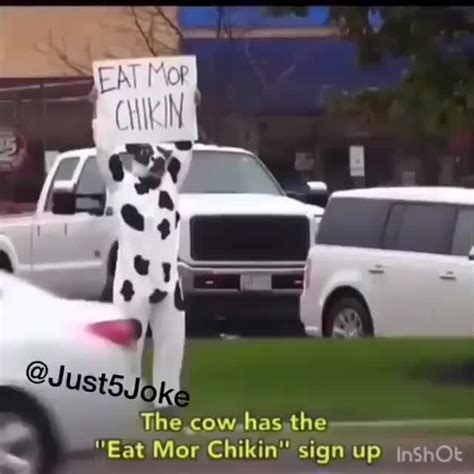 Sen Mor The Cow Has The Eat Mor Chikin Sian Up Cute Love Stories